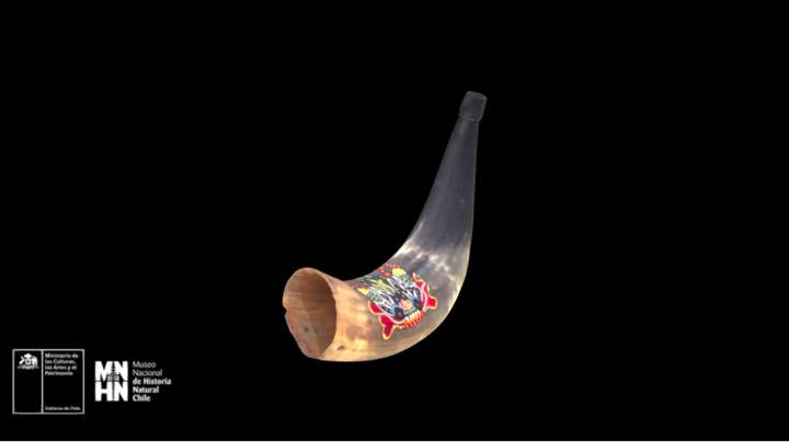 Pututo de cuerno de vacuno - Curriculum Nacional. MINEDUC. Chile.