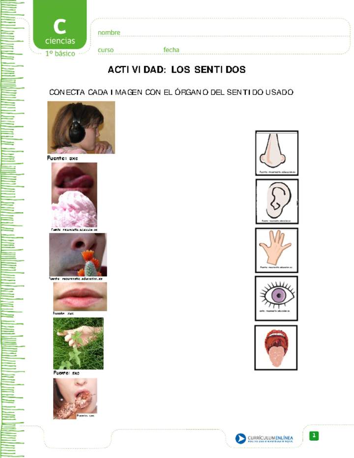 Los Cinco Sentidos En Ingles Para Niños De Primaria - Actividad del Niño Los Cinco Sentidos En Ingles Para Niños De Primaria - Actividad del Niño