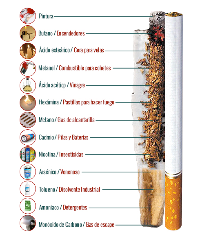 Humo de cigarro - Curriculum Nacional. MINEDUC. Chile.