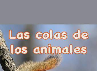 Las colas de los animales - Aprendo en Línea - DOCENTE. Currículum ...